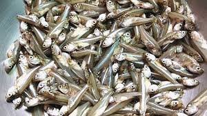 Assamese recipe: Small Fish Curry with Mustard paste - StoryToday.in